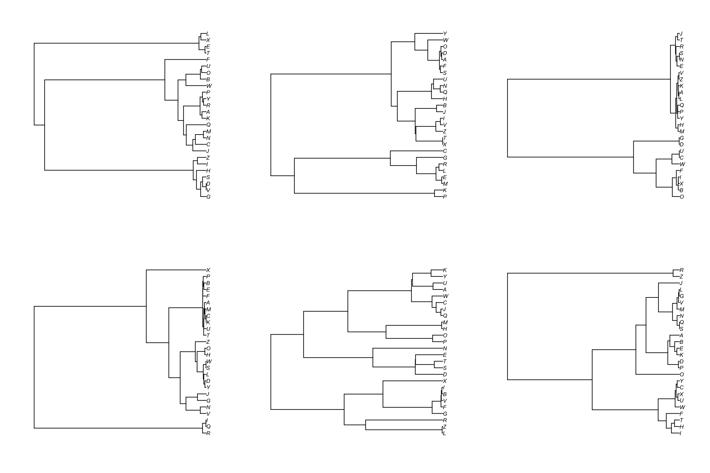 The multispecies coalescent