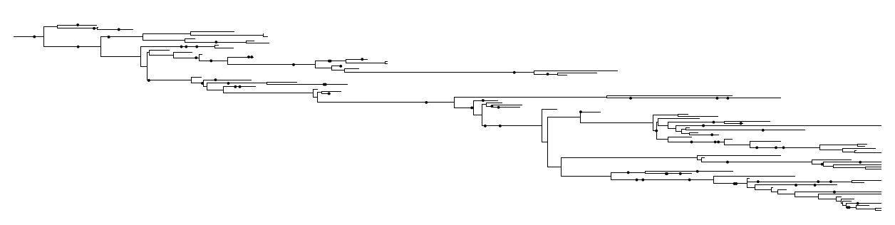 The reconstructed birth-death-sampling tree